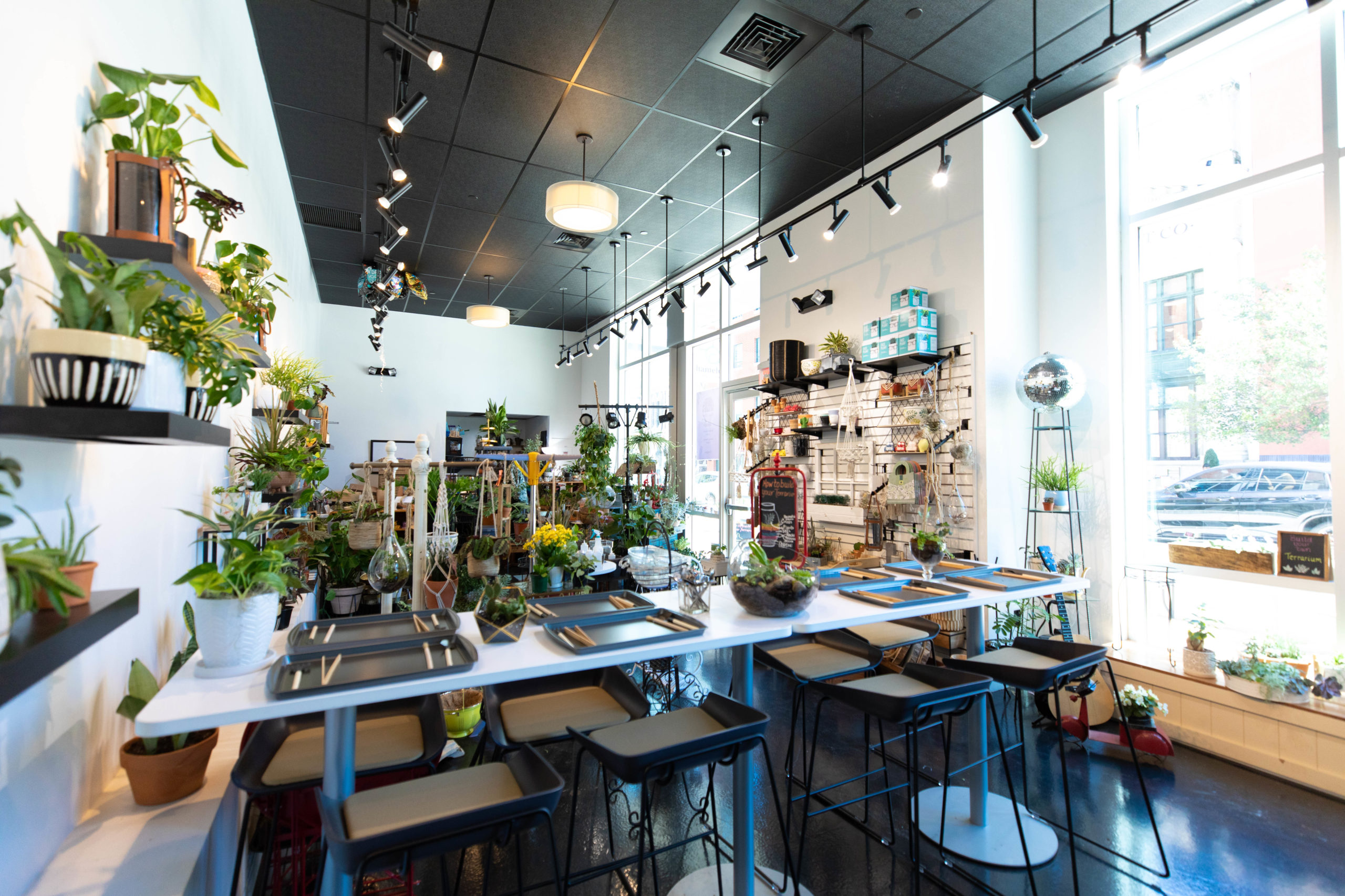 Retail Feature: Sterner's Stems - City Center Residential Blog