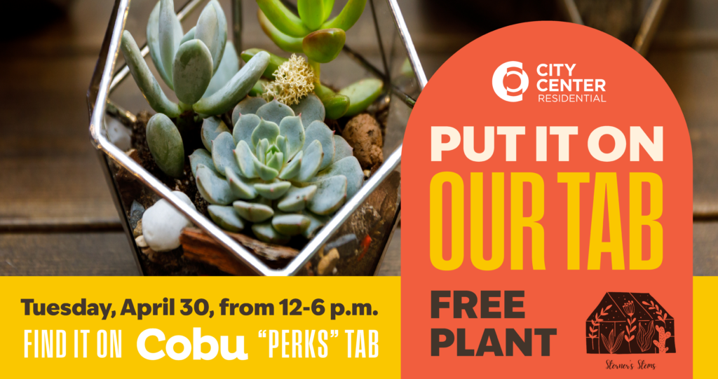 Put It On Our Tab: Free Plant at Sterner's Stems - City Center ...